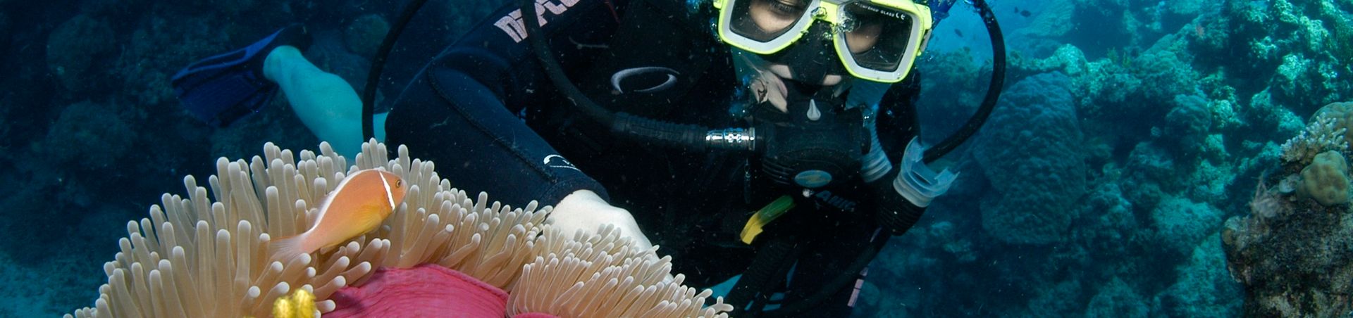 Half Day Dive Tour from Hamilton Island | Whitsunday Holidays