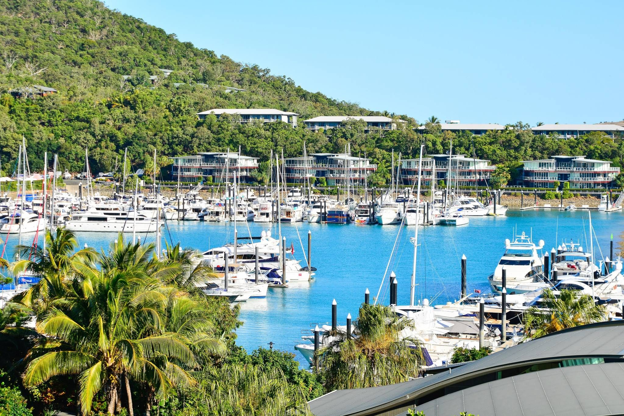 Hamilton Island Map - Whitsunday Holidays