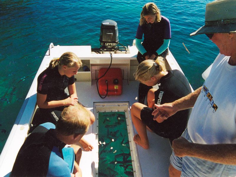 Sydney Sundancer | Whitsunday Holidays
