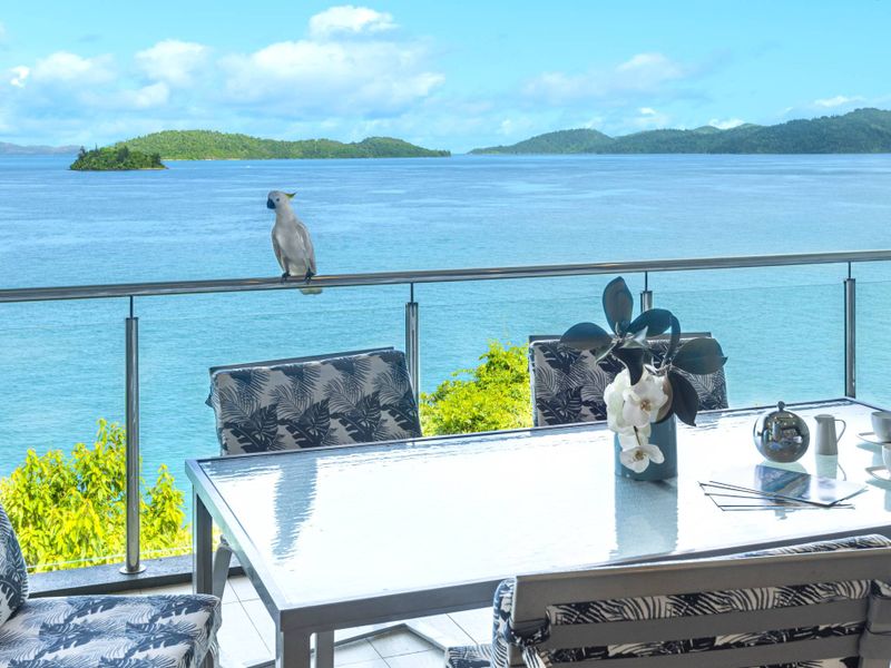 Edge 10 Hamilton Island | Whitsunday Holidays