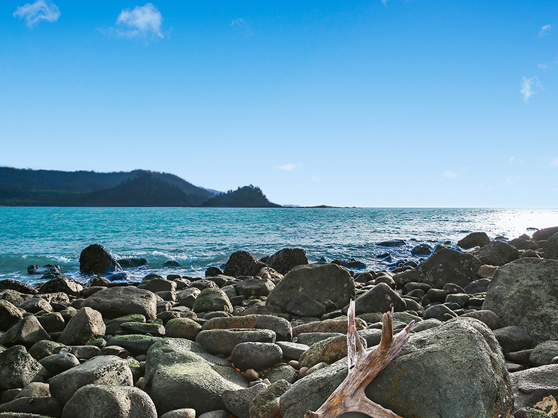 Aquila Hamilton Island | Whitsunday Holidays