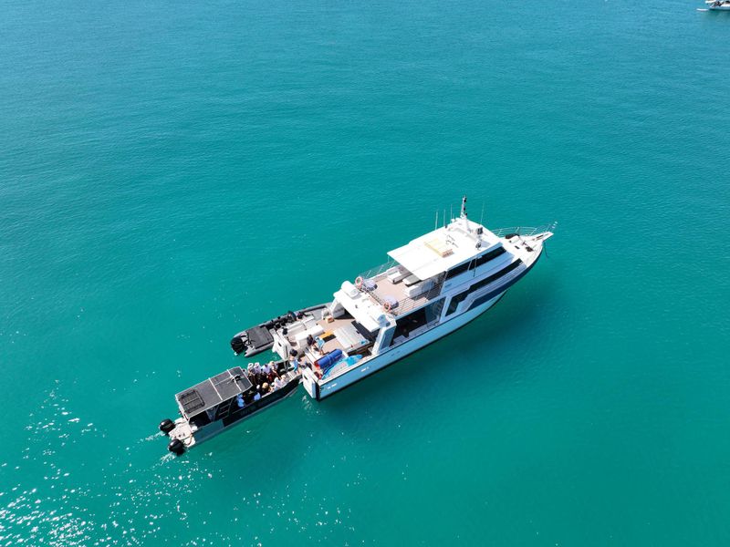 Ocean Enigma | Whitsunday Holidays