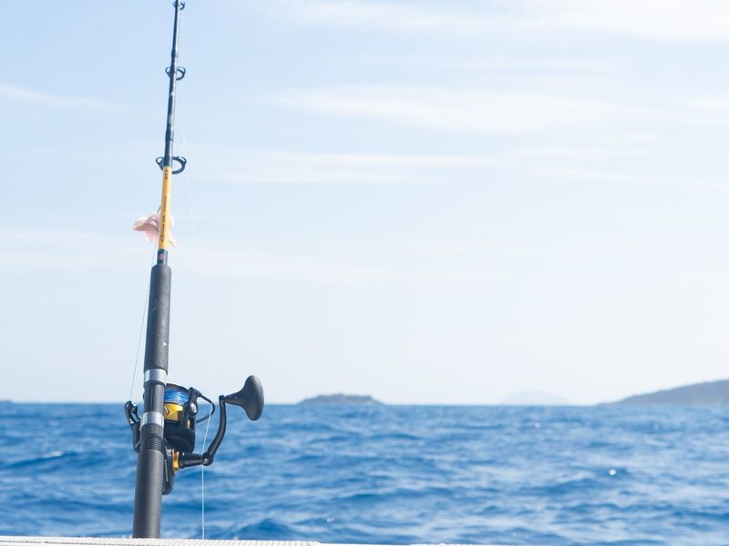 Half day Fishing Tour from Hamilton Island | Whitsunday Holidays
